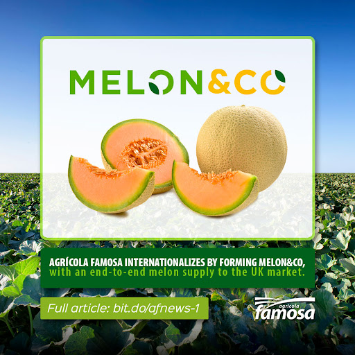 Com a “Melon & Co.”, Agrícola Famosa amplia sua força internacional